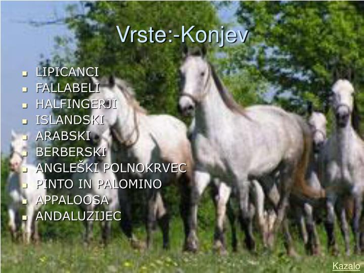 PPT - Konji PowerPoint Presentation - ID:1241975