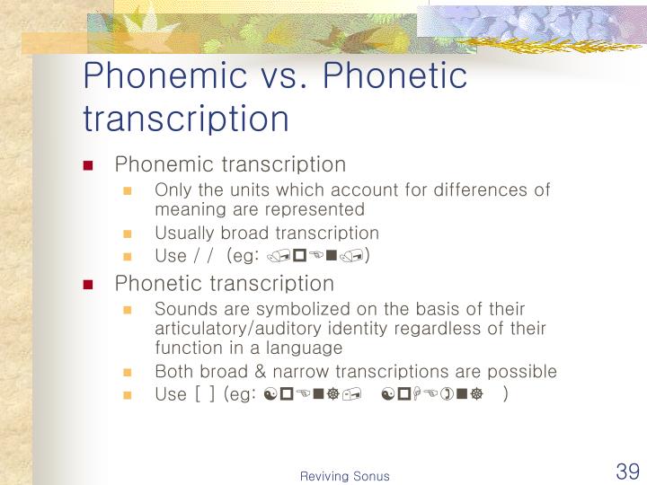 PPT - Phonology: The Sound Pattern of Language PowerPoint Presentation ...