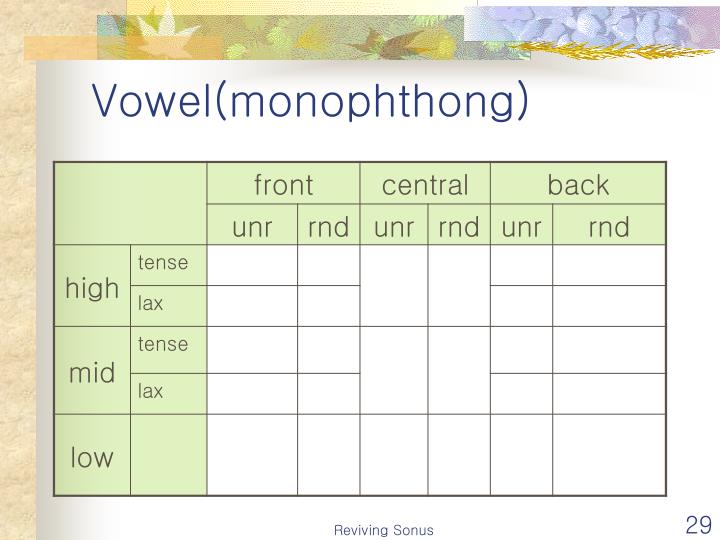 PPT - Phonology: The Sound Pattern of Language PowerPoint Presentation ...