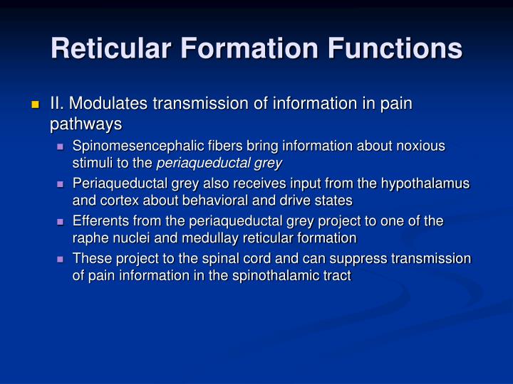 PPT - Brain Stem II PowerPoint Presentation - ID:1242417