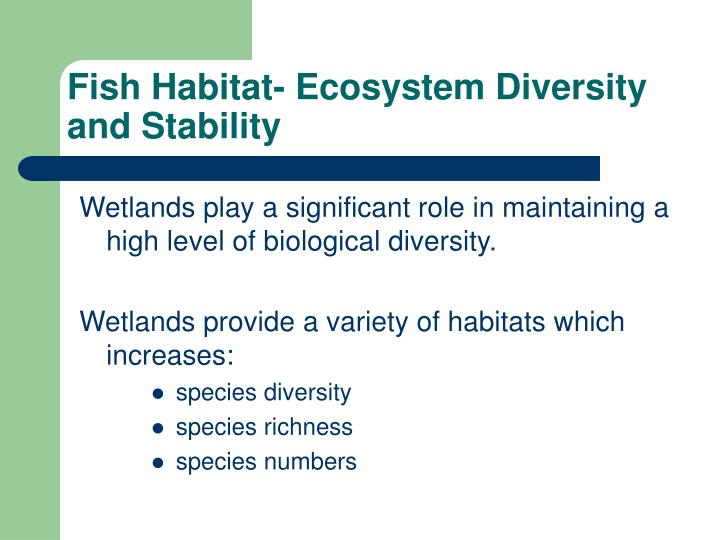 PPT - Why Are Wetlands Important? PowerPoint Presentation - ID:1242672