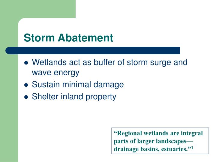 PPT - Why Are Wetlands Important? PowerPoint Presentation - ID:1242672
