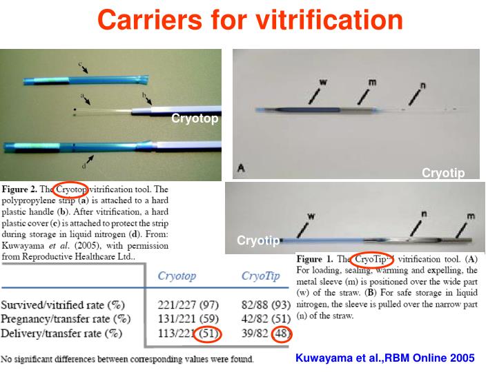 PPT - Blastocyst Vitrification PowerPoint Presentation - ID:1244448