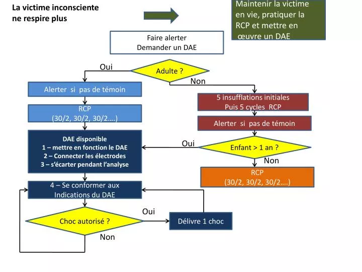 PPT - La victime inconsciente ne respire plus PowerPoint Presentation ...