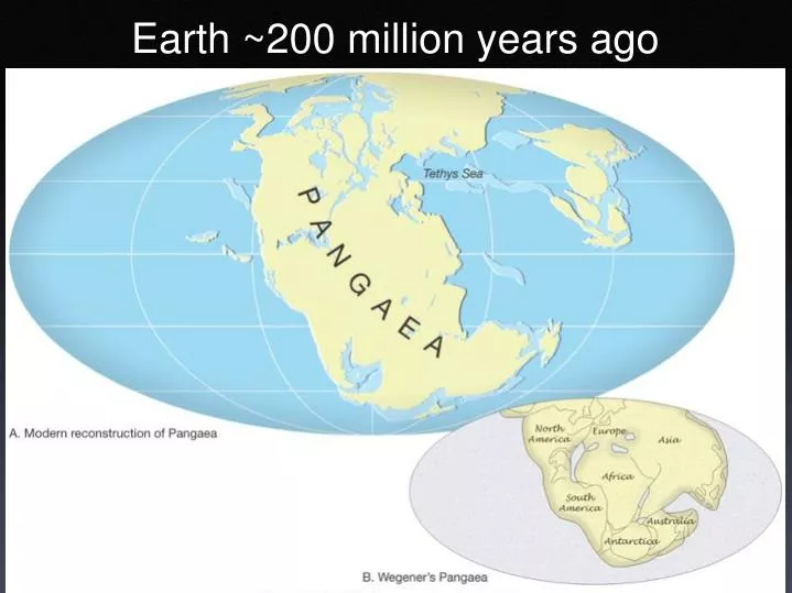 PPT - Earth ~200 million years ago PowerPoint Presentation, free ...