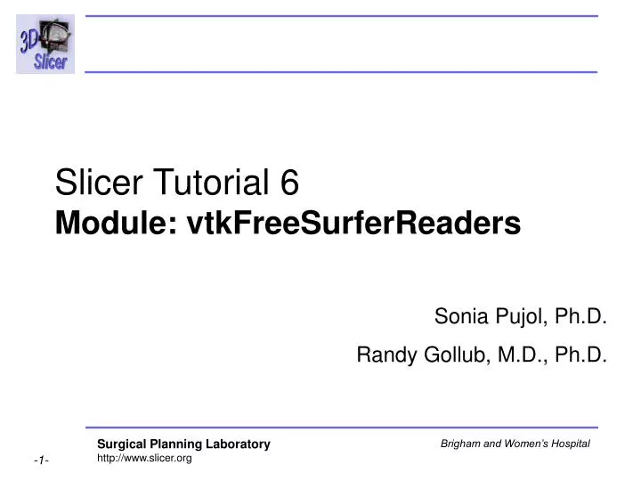 Ppt Slicer Tutorial 6 Module Vtkfreesurferreaders Powerpoint