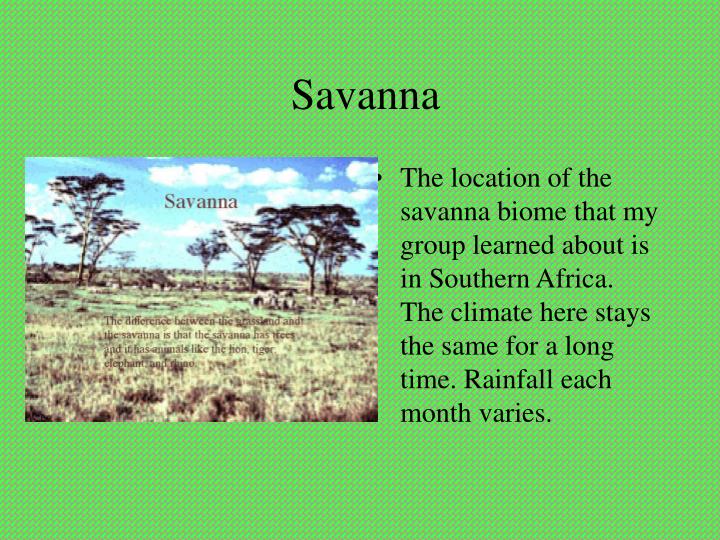 PPT - The Savanna Biome PowerPoint Presentation - ID:1249085