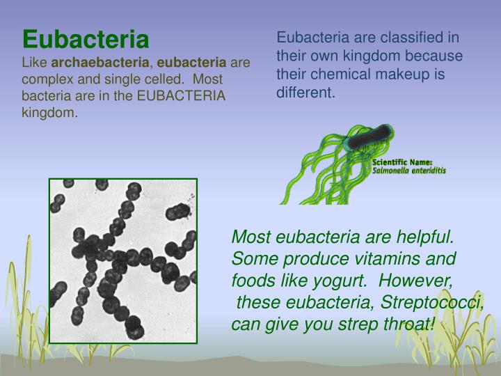 PPT - The Six Kingdoms PowerPoint Presentation - ID:1249863