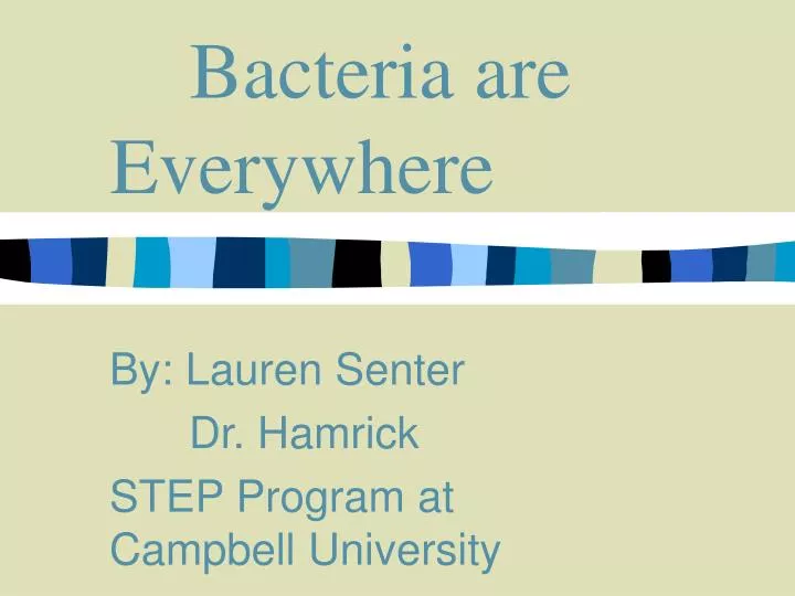 PPT - Bacteria are Everywhere PowerPoint Presentation, free download ...