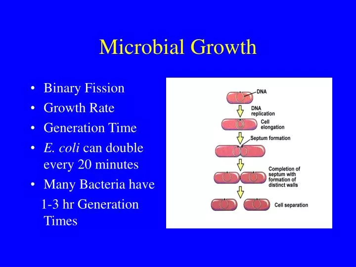 PPT - Microbial Growth PowerPoint Presentation, free download - ID:1250820