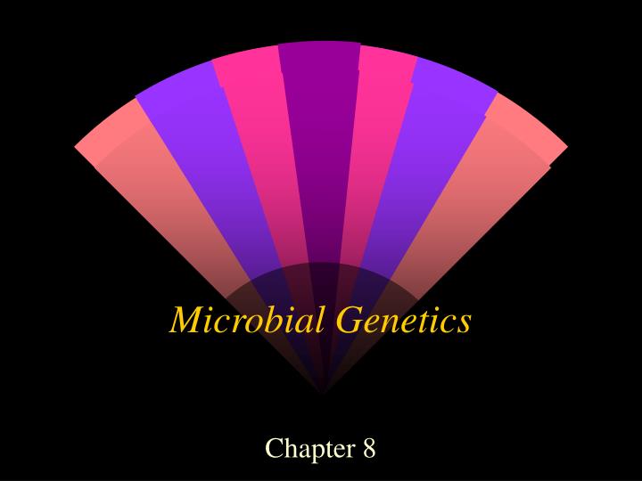 Ppt Microbial Genetics Powerpoint Presentation Free Download Id 1250898