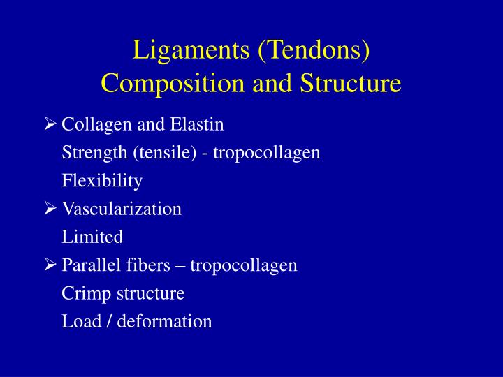 PPT - Joint Classification (Function/Structure) PowerPoint Presentation ...
