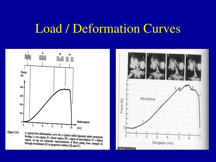 PPT - Joint Classification (Function/Structure) PowerPoint Presentation ...