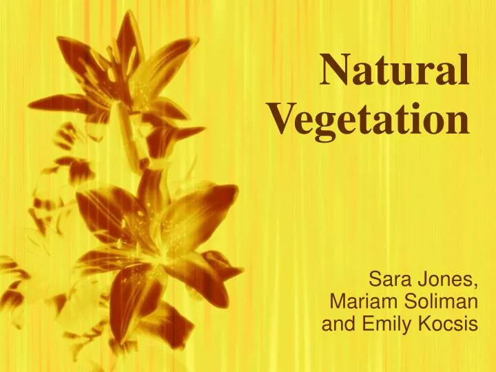 PPT - Natural Vegetation PowerPoint Presentation, free download - ID ...