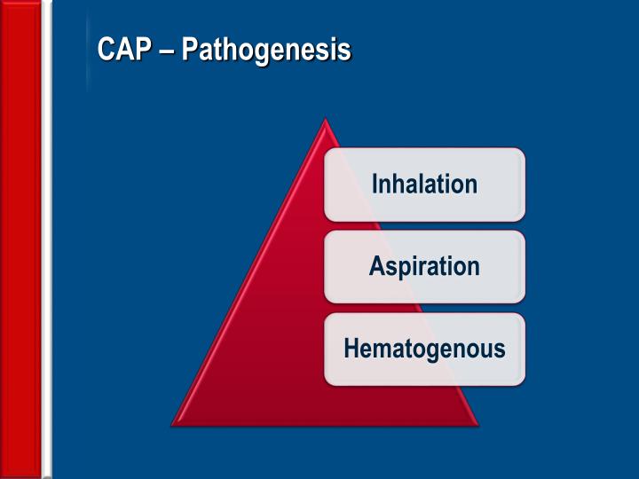 PPT - Community Acquired Pneumonia (CAP) by PowerPoint Presentation ...