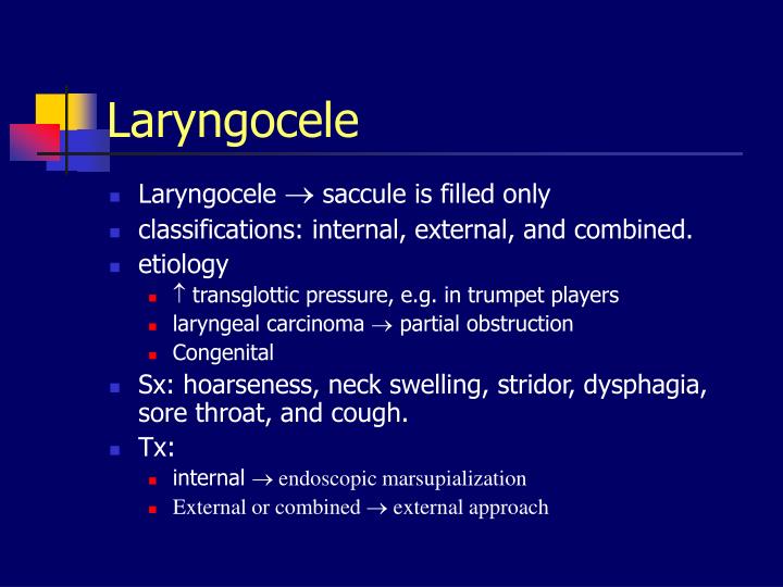 PPT - Diseases of the Larynx PowerPoint Presentation - ID:1255018