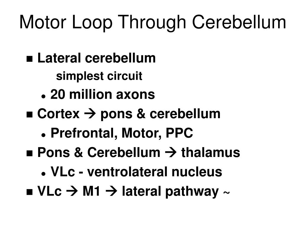 PPT - Subcortical Motor Systems: Cerebellum & Basal Ganglia PowerPoint ...
