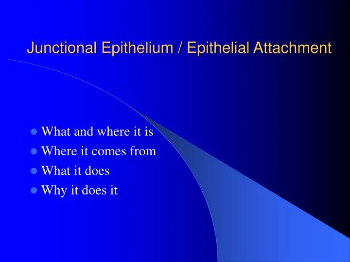 PPT - Junctional Epithelium / Epithelial Attachment PowerPoint ...
