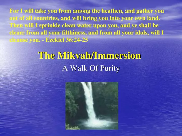PPT - The Mikvah/Immersion PowerPoint Presentation, free download - ID ...