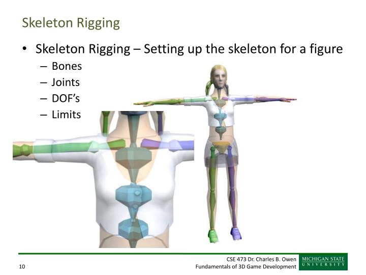 PPT - Skeletons and Skinning PowerPoint Presentation - ID:1257236