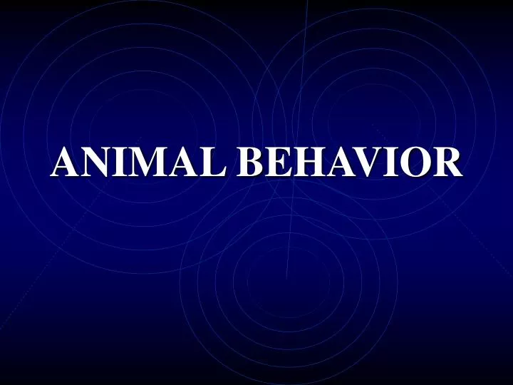 PPT - ANIMAL BEHAVIOR PowerPoint Presentation, free download - ID:1257542