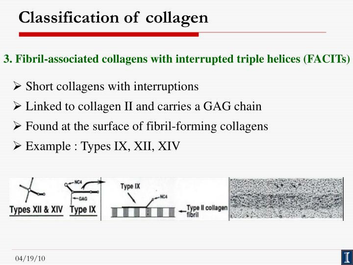 PPT - EXTRACELLULAR MATRIX PROTEINS AND PROTEINASES PowerPoint ...