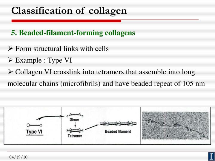 PPT - EXTRACELLULAR MATRIX PROTEINS AND PROTEINASES PowerPoint ...