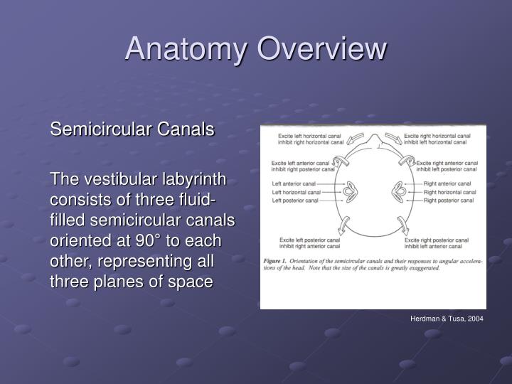 PPT - Benign Paroxysmal Positioning Vertigo (BPPV) PowerPoint ...