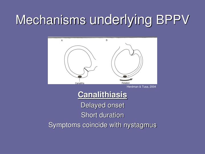 PPT - Benign Paroxysmal Positioning Vertigo (BPPV) PowerPoint ...