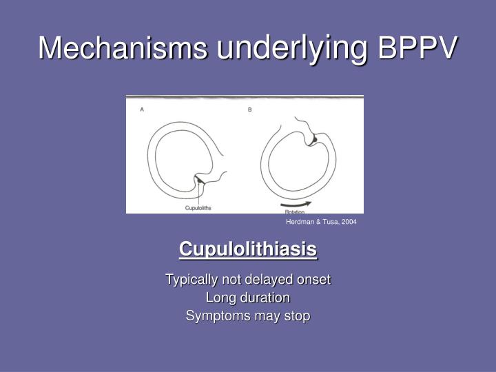 PPT - Benign Paroxysmal Positioning Vertigo (BPPV) PowerPoint ...