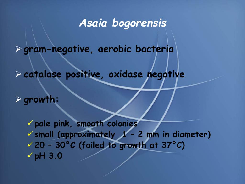 PPT - Asaia bogorensis biofilm in beverage produce PowerPoint ...