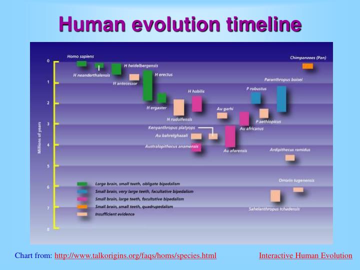 PPT - Vertebrates PowerPoint Presentation - ID:1264716