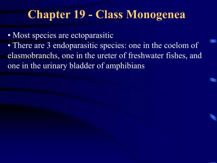 PPT - Chapter 19 - Class Monogenea Most species are ectoparasitic ...