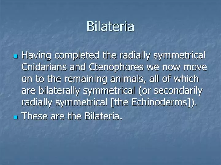 PPT - Bilateria PowerPoint Presentation, free download - ID:1265133