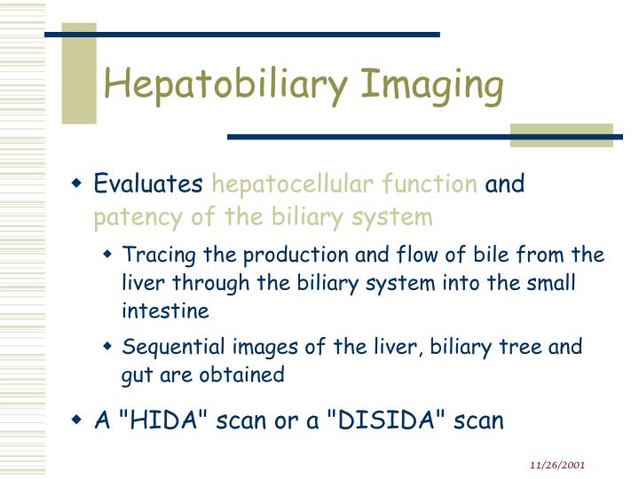 PPT - HEPATOBILIARY IMAGING PowerPoint Presentation - ID:1265912