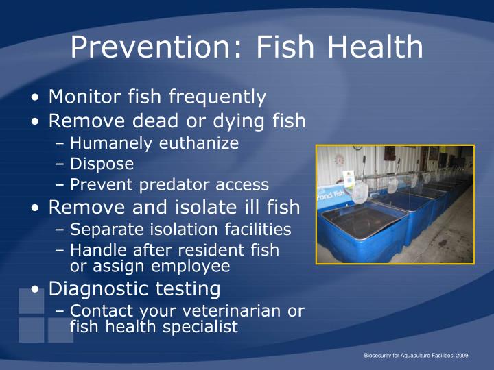 PPT - Biosecurity for Aquaculture Facilities PowerPoint Presentation ...