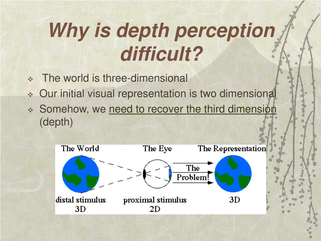 Depth Perception Example Depth Perception Example