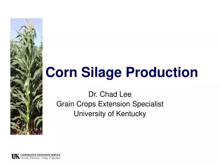 PPT - Corn Silage Production PowerPoint Presentation, free download ...