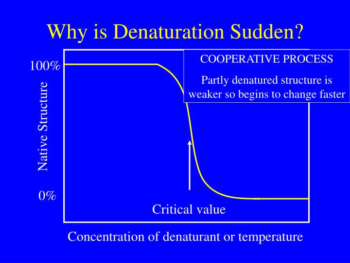 PPT - Protein Denaturation PowerPoint Presentation - ID:1266732