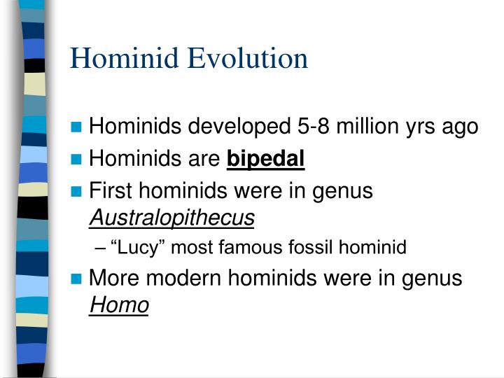 PPT - Primate Evolution PowerPoint Presentation - ID:1266743