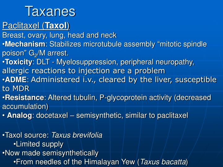 PPT - Alkylating Agents PowerPoint Presentation - ID:1267083