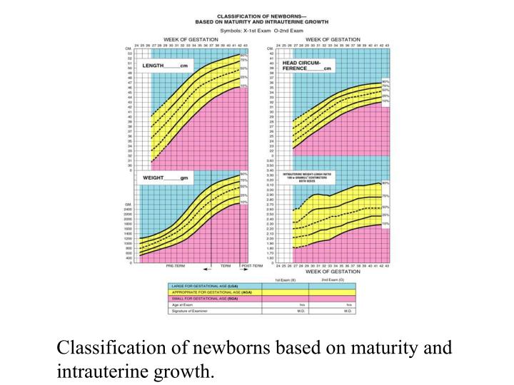 PPT - N106 Nursing Care of the Newborn PowerPoint Presentation - ID:1267381