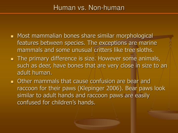 PPT - Identifying human versus non-human skeletal remains in the field ...