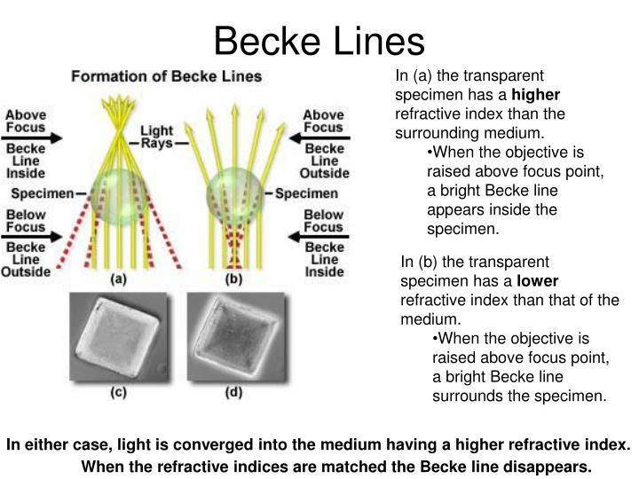PPT - PHYSICAL PROPERTIES: Glass and Soil PowerPoint Presentation - ID ...