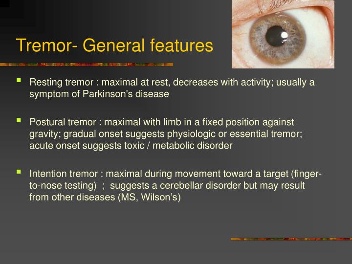 PPT - The Cerebellum PowerPoint Presentation - ID:1269143