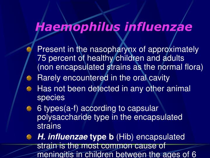 PPT - Campylobacter PowerPoint Presentation - ID:1270034