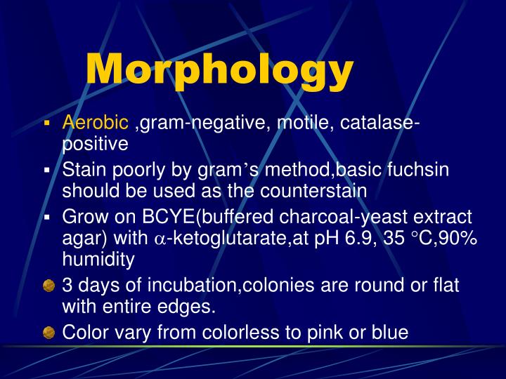 PPT - Campylobacter PowerPoint Presentation - ID:1270034