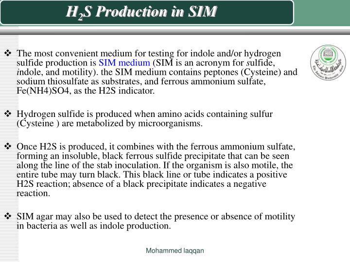 PPT - Biochemical Tests PowerPoint Presentation - ID:1270303