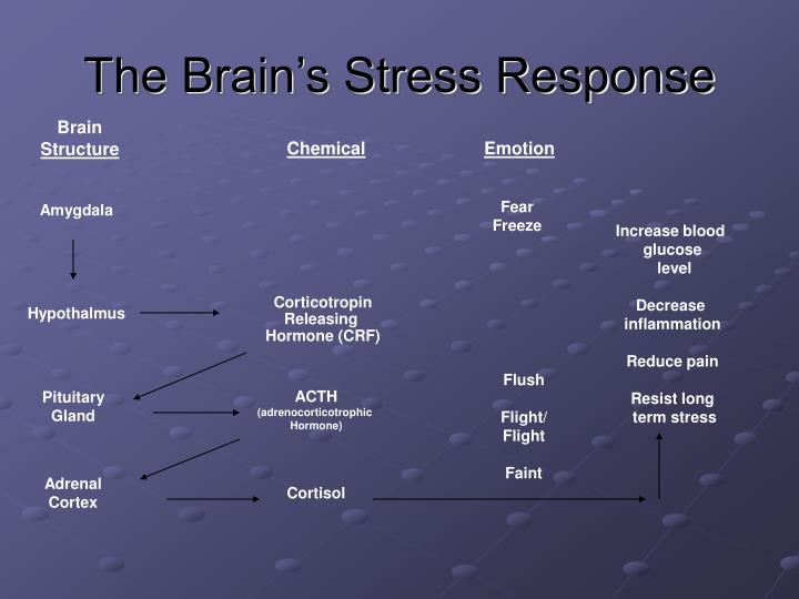 PPT - Biofeedback: A New Frontier for Recreation Therapy PowerPoint ...