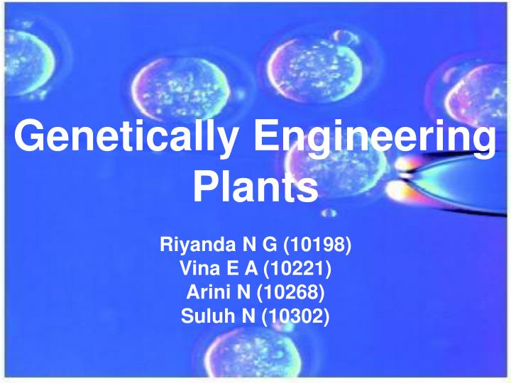 PPT - Genetically Engineering Plants PowerPoint Presentation, free ...